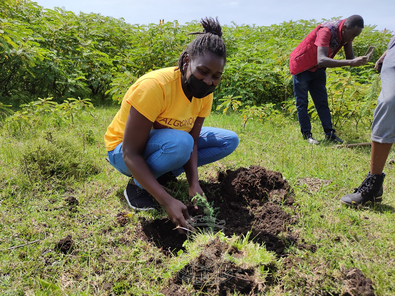 Tree Planting Events
