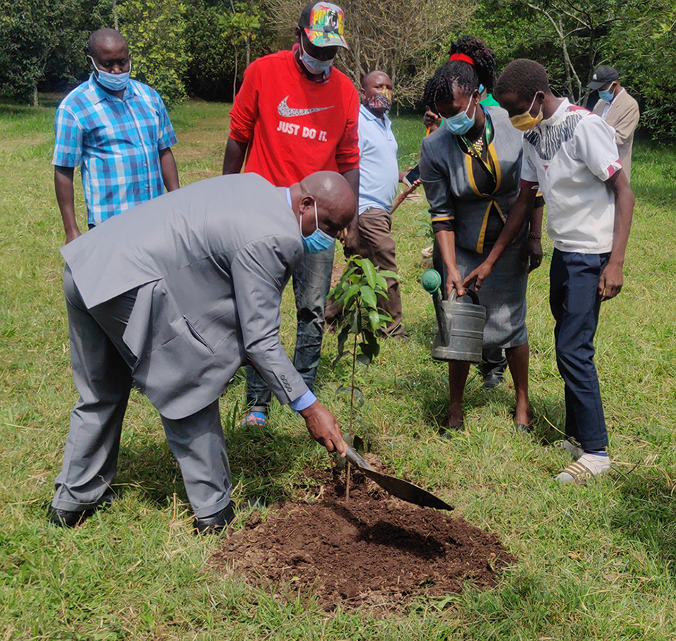 Tree Planting Events