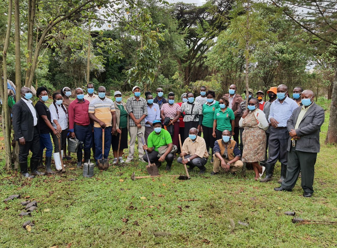 Tree Planting Events